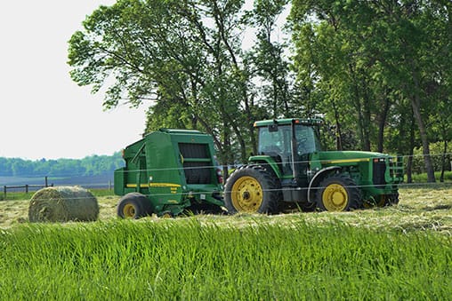When should you cut hay? - Michigan Farm News
