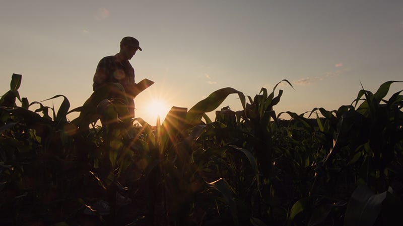 USDA launches final phase of 2025 Agricultural Resource Management ...