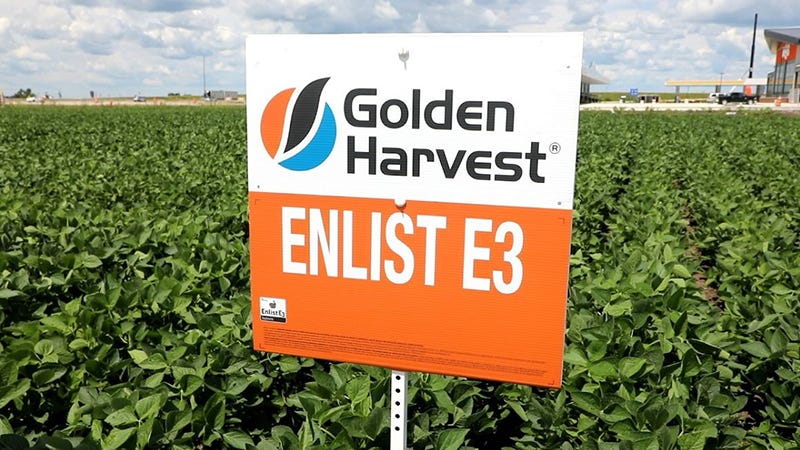 Ag giants team up on new Enlist E3 soybeans - Michigan Farm News