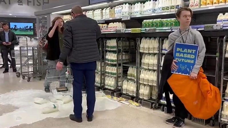 Environmentalists dump milk inside stores: ‘Radical activities ...