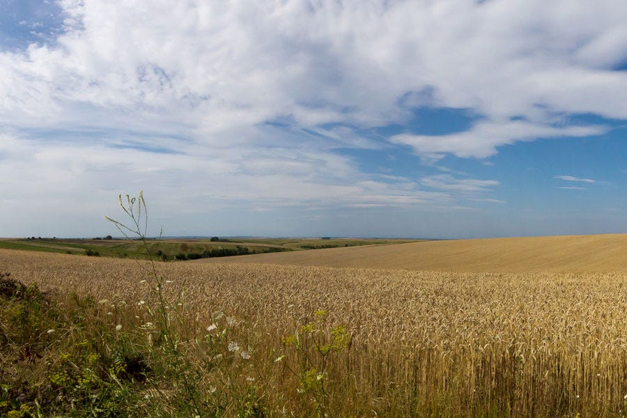 Home Page - Michigan Farm News