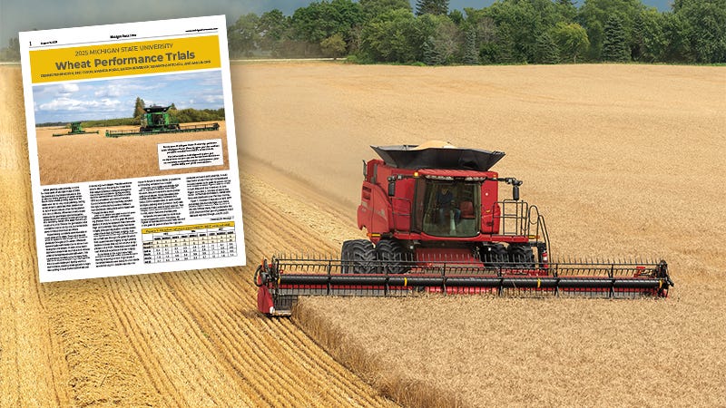 Results of 2025 MSU Wheat Performance Trials released - Michigan Farm News