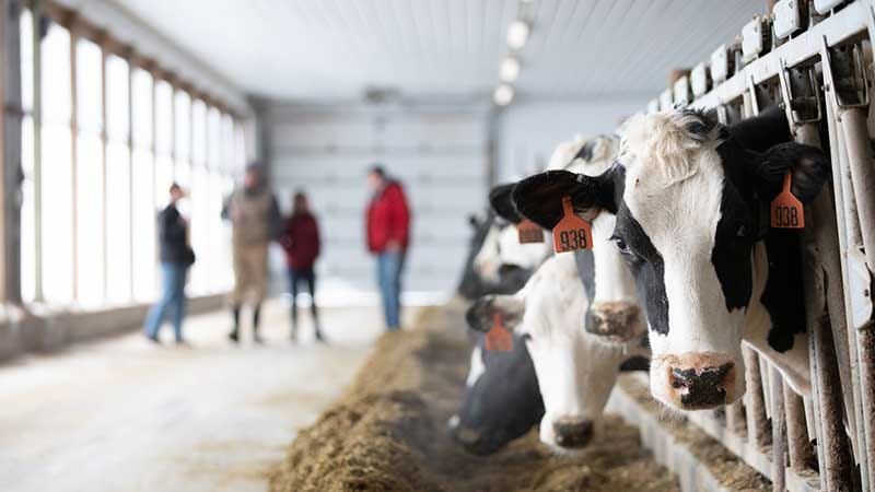 USDA to target 'small- and medium-sized dairy operations' with ...