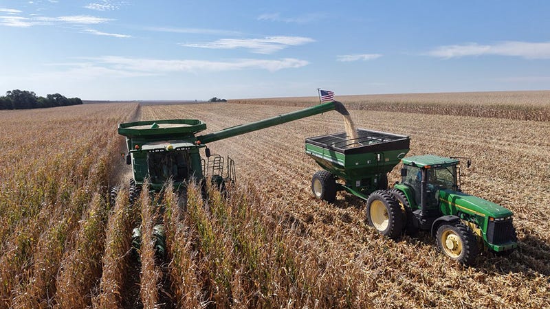 National Corn opens annual yield contest - Michigan Farm News