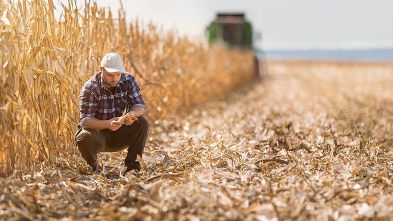 US Senate Ag Committee GOP: USDA’s farm income projection 'a false ...
