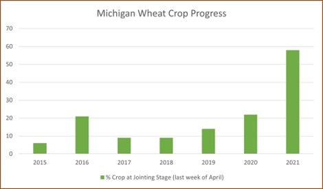 Michigan wheat crop ahead of schedule - Michigan Farm News
