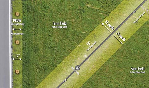 Miss Dig becomes better under farmer scrutiny - Michigan Farm News