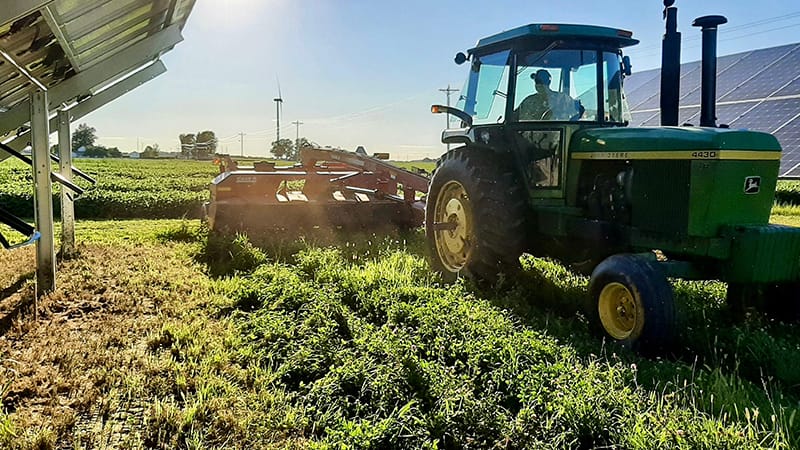 MSU researchers to explore viability of agriculture, solar power ...