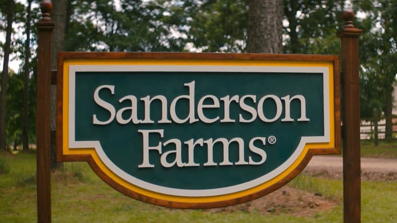 Sanderson Farms bought in multibillion-dollar deal with Cargill ...