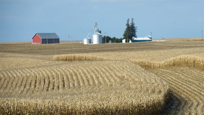 AFBF: Production costs outpacing commodity prices, expected to rise 6% ...