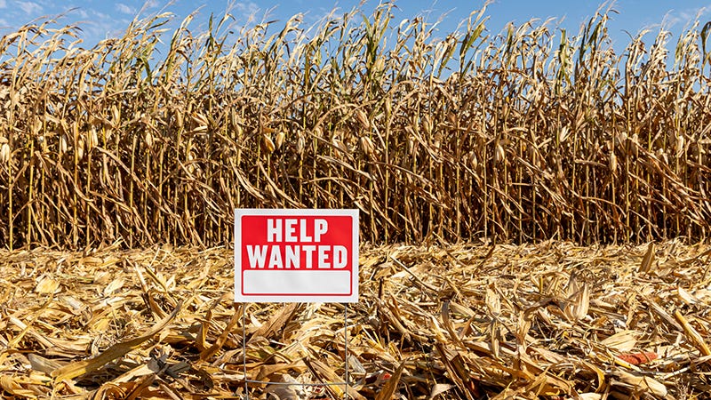 Are you prepared? Shrinking labor force threatens economy and rural ...