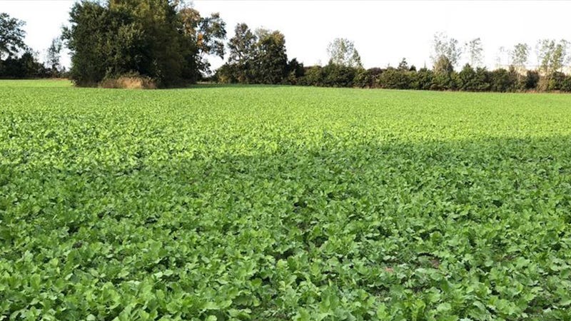 USDA EQIP funding available to Michigan farmers, forest owners ...