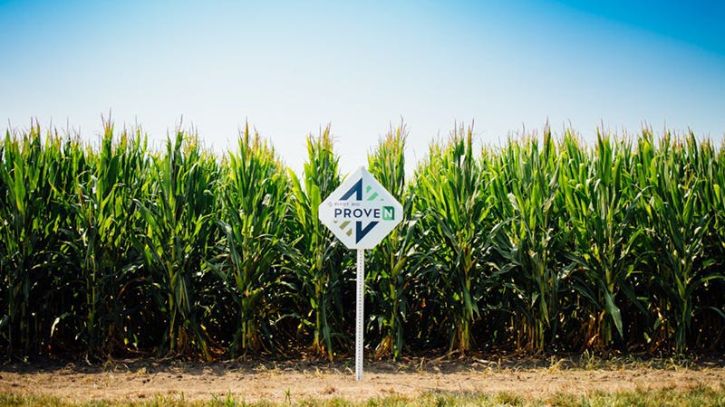 Pivot Bio launches the first-ever on-seed nitrogen - Michigan Farm News