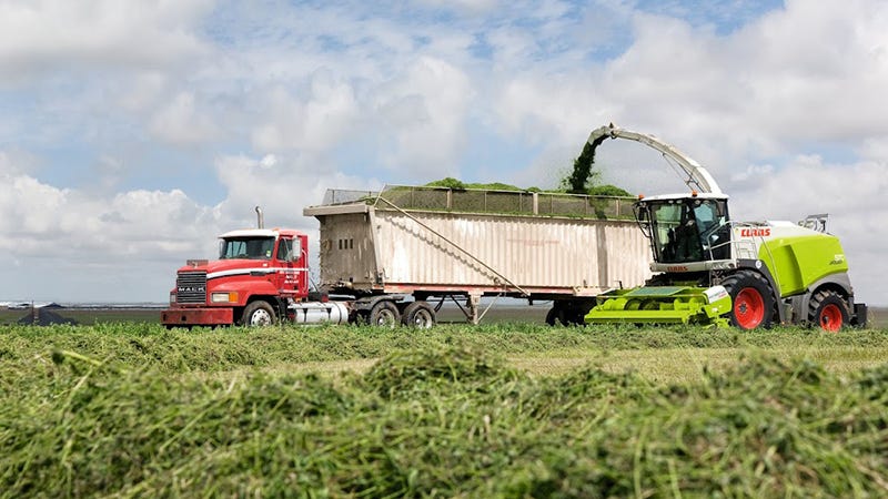 Study: US dairy industry leading global sustainability efforts for 15 ...