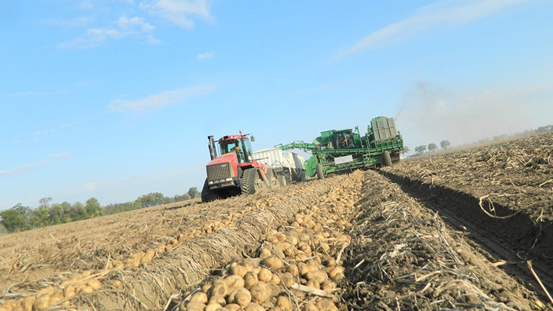 Home Page - Michigan Farm News