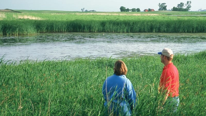 USDA seeking Michigan applications to restore wetlands - Michigan Farm News