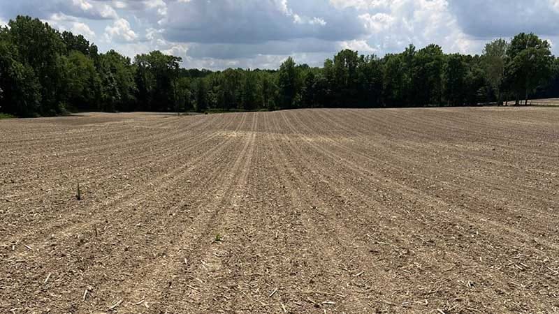 Dry conditions among causes of variable and delayed soybean emergence ...