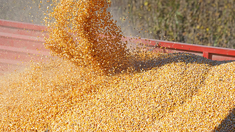 WASDE predicts record-high corn exports, considers EPA’s biofuel plans ...
