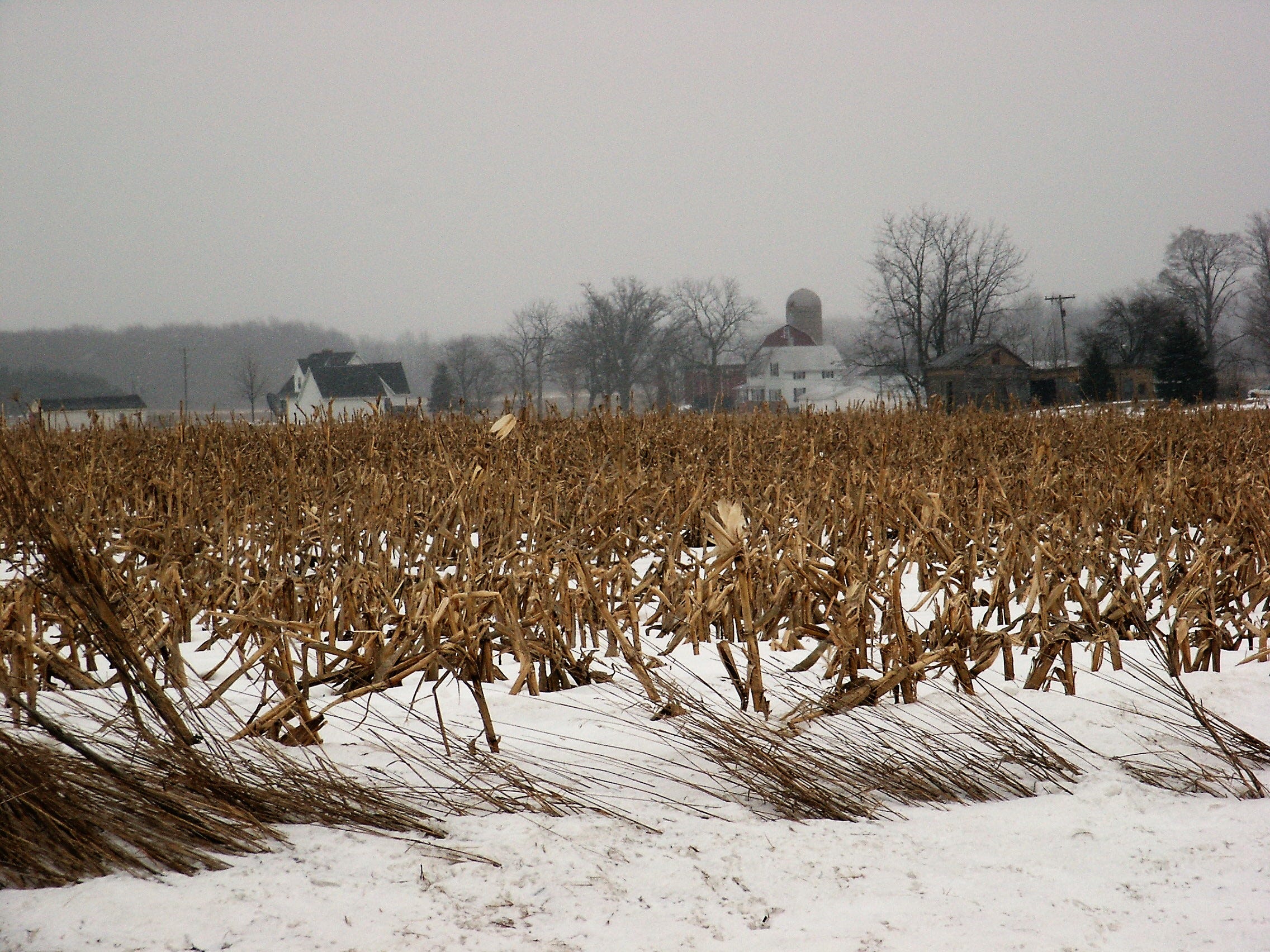 Get ready for a long winter, above-normal snowfall - Michigan Farm News