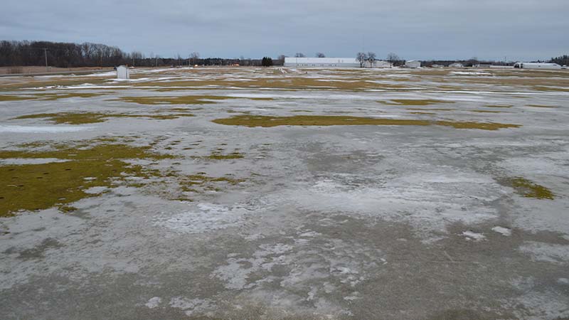 MSU researchers part of team investigating winter stresses of turfgrass ...