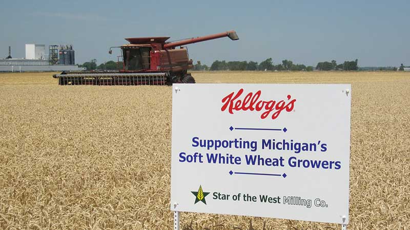 Back-to-back record-breaking years for Michigan food and agriculture ...