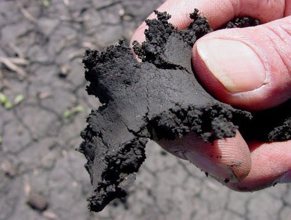 Soil compaction challenges in 2020 crop production - Michigan Farm News