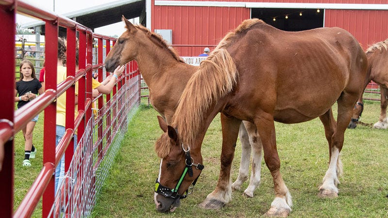 MDARD announces county fairs and expositions grant winners - Michigan ...