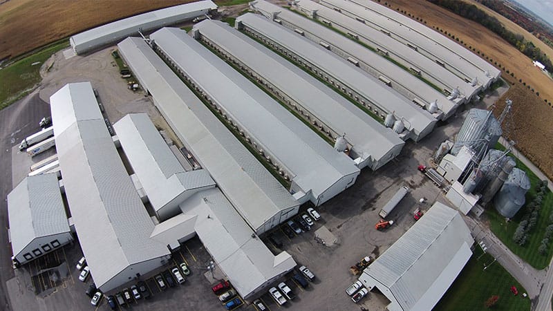 Demand response program helps poultry farm hatch improvements ...