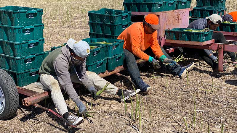 2023 Farm Employment Seminar dates, locations announced - Michigan Farm ...