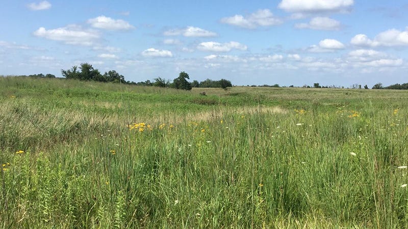 Considering CRP enrollment? Here's what you need to know - Michigan ...