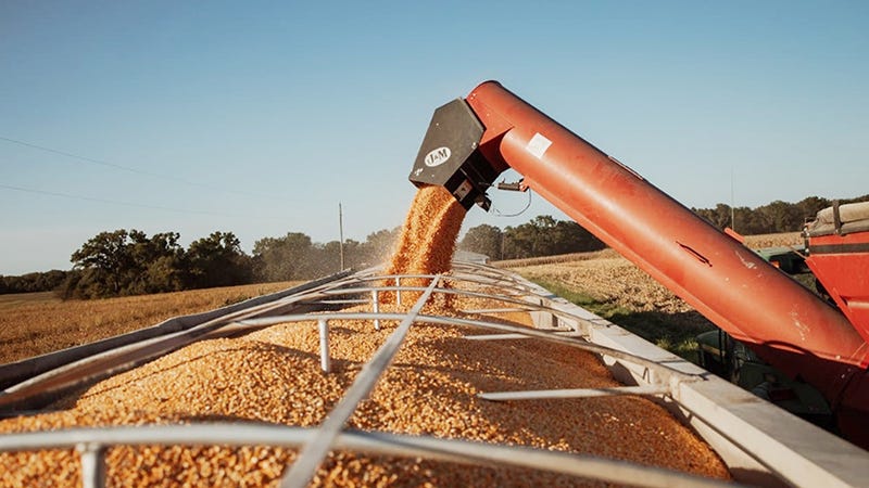 MSU Extension releases new grain marketing decision tool - Michigan ...