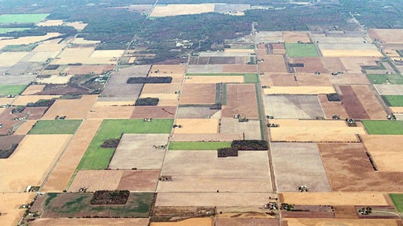 Michigan sees nation’s sharpest spike in farm real estate values ...