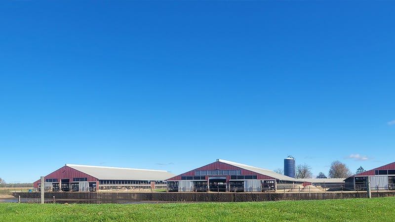 Consumers Energy helps farm stay afloat through energy savings ...