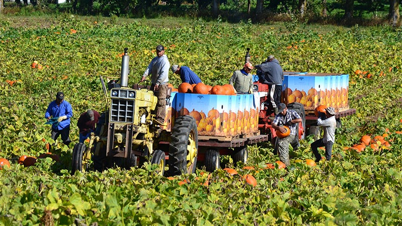 MSU releases '2025 Custom Work Rates Report' - Michigan Farm News