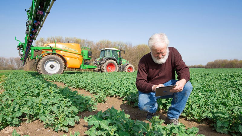 Bayer piloting AI agronomy tool offering 'expert information within ...
