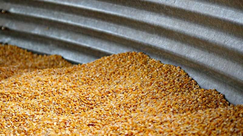3 hours that could save your life: Grain bin and manure pit safety ...