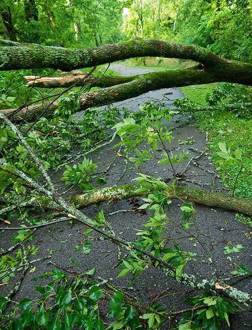 USDA designates 5 Michigan counties as primary natural disaster areas ...