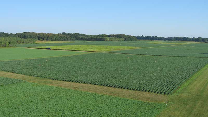 MSU researchers receive $750K grant to study soil health amid changing ...