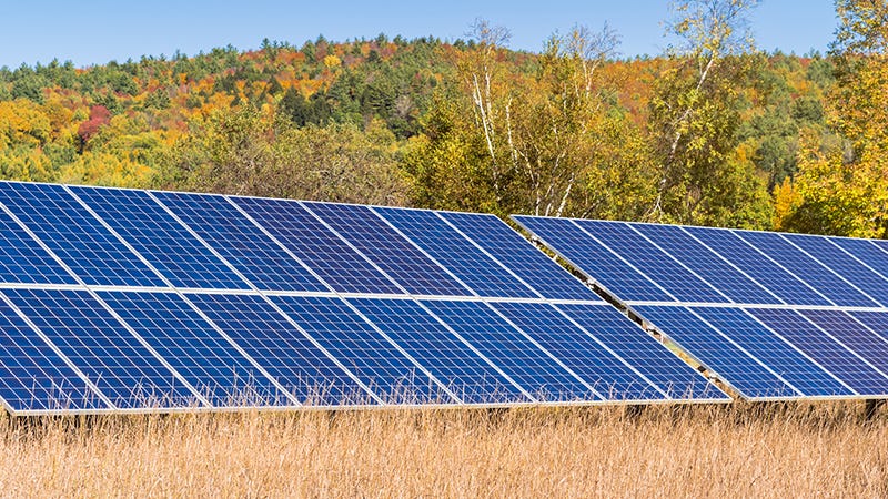 Foreign ag land ownership drops in Michigan, rises in US on renewable ...