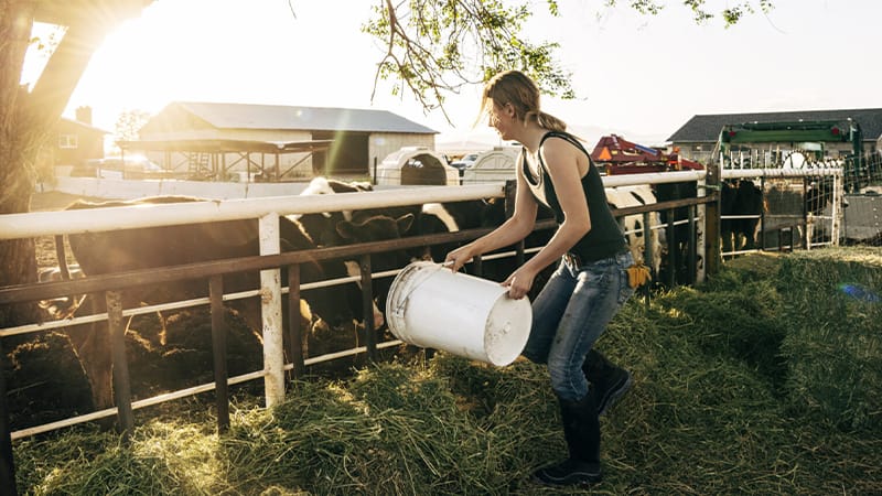 National Women in Ag Study launches - Michigan Farm News