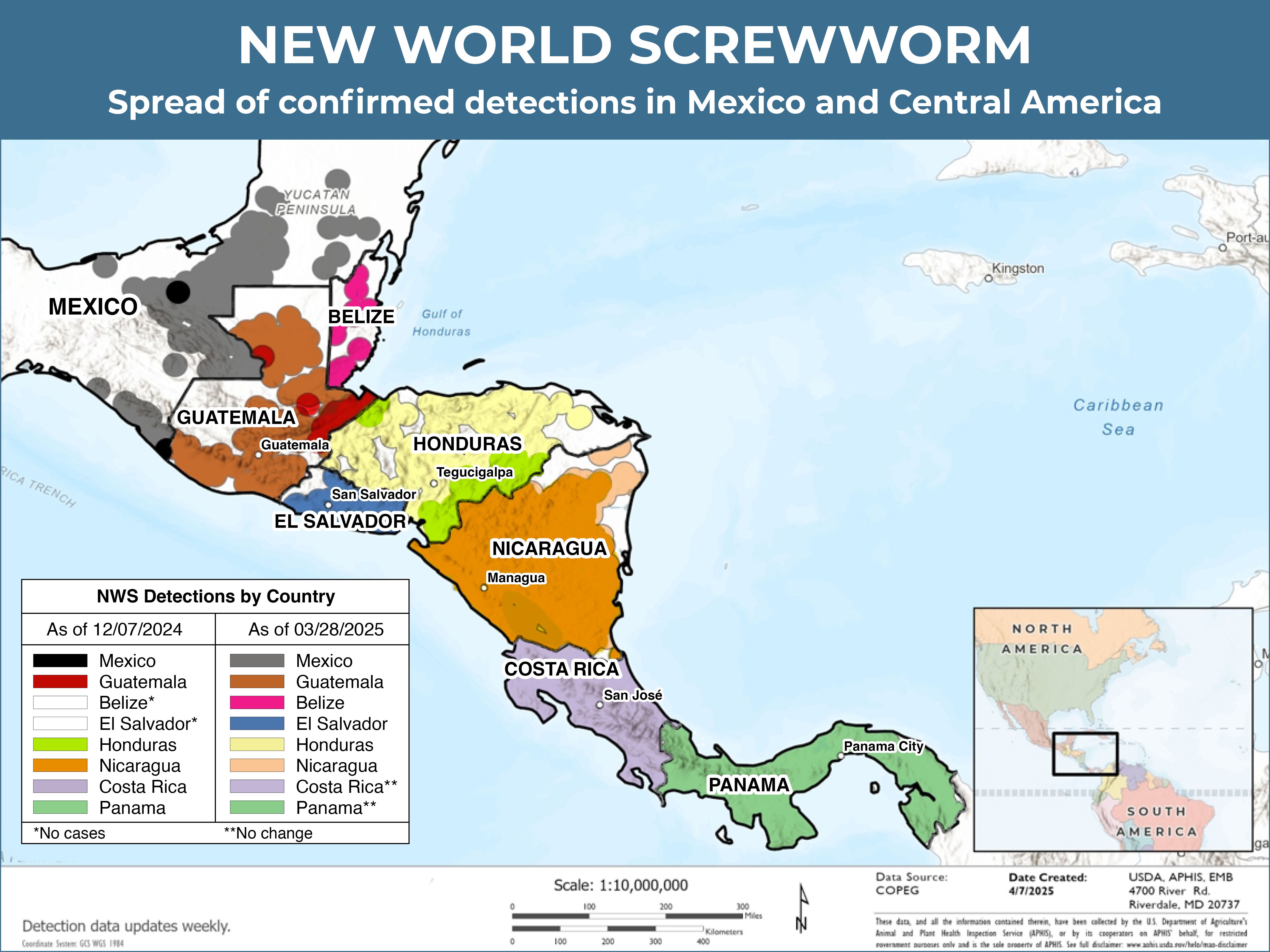 US halts livestock imports from Mexico as deadly New World screwworm ...