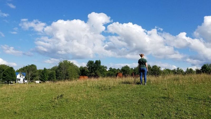 MSU: Why we keep farming when the going gets tough - Michigan Farm News