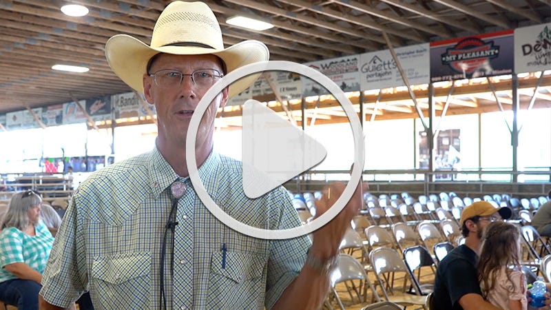 A Day in the Life: Keeping up with the fast-talking Scott Sykora ...