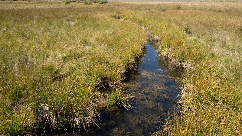 USDA, EPA announce MOU supporting rural water systems - Michigan Farm News