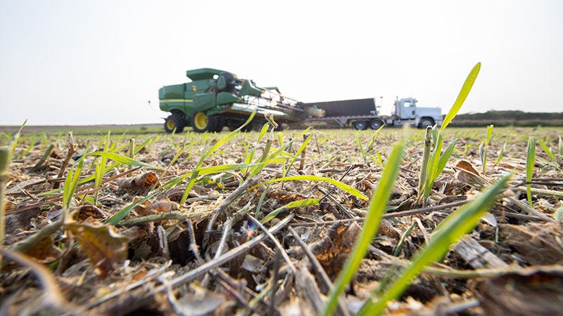 Cargill aims to enroll 10 million acres in expanded carbon market ...