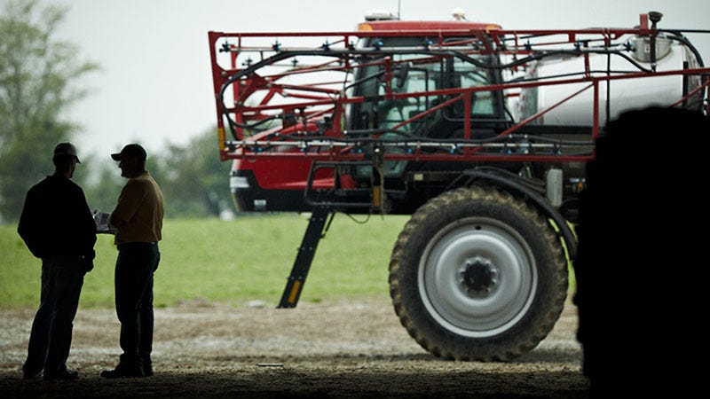 Your weed scouting for 2020 begins with 2019’s harvest - Michigan Farm News