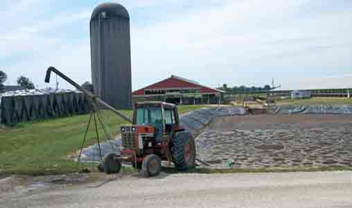 Capturing spring-applied manure nutrients in the root zone - Michigan ...
