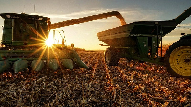 Feds raid Boersen Farms amid fraud investigation - Michigan Farm News