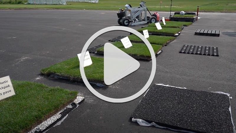 MSU, Michigan sod farmers headed to international World Cup soccer ...