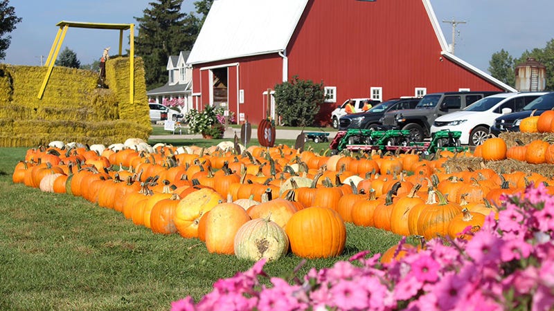 Dollars and Sense: Setting business goals to define a marketing plan ...